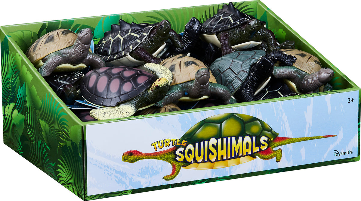 Turtle Squishimals* – Calico Toy Shoppe